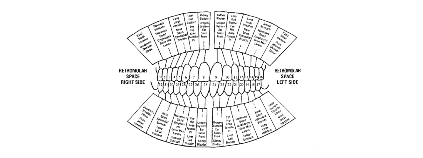 Tooth Meridian Chart | Ann Arbor's Dentist